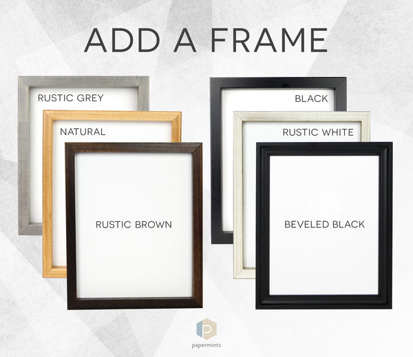 alternatives to frames for posters